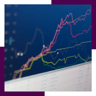 Data Profiling | Logic Plum